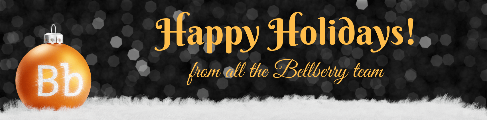 First Meeting of 2019 - Bellberry Limited