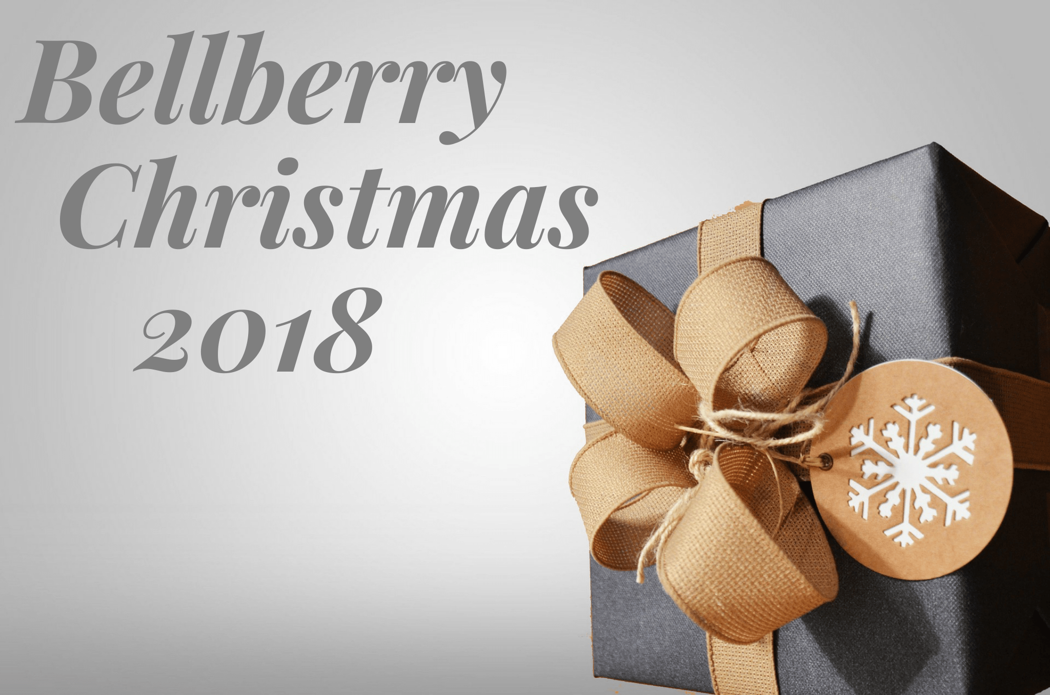 Christmas and New Year 2018/19 - Bellberry Limited